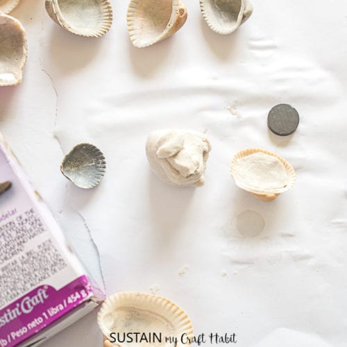 How to Make a Magnet with Seashells – Sustain My Craft Habit