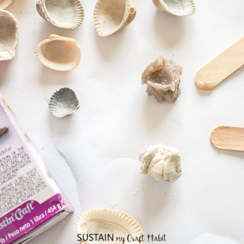 How to Make a Magnet with Seashells – Sustain My Craft Habit