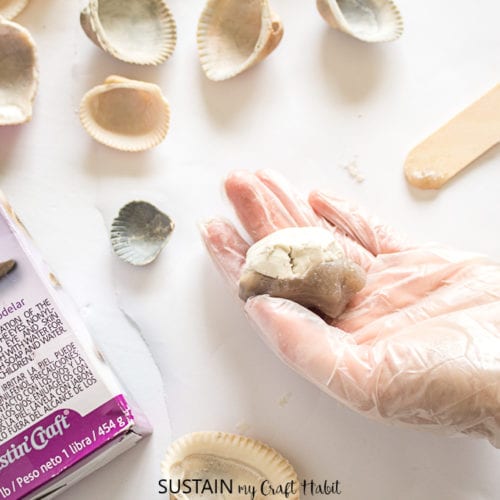 How to Make a Magnet with Seashells – Sustain My Craft Habit