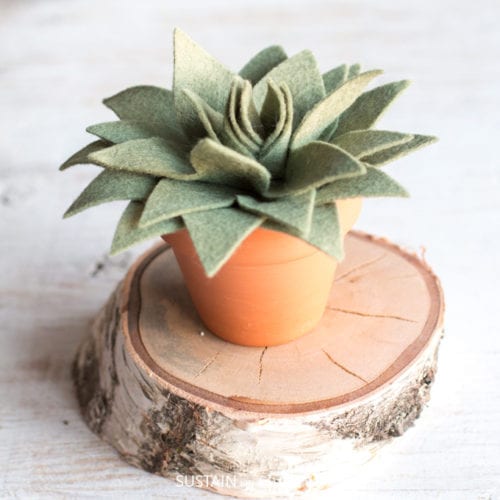How to Make Potted Felt Succulents – Sustain My Craft Habit