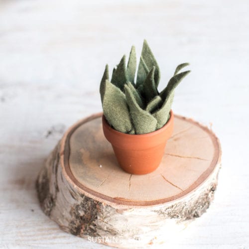 How to Make Potted Felt Succulents – Sustain My Craft Habit