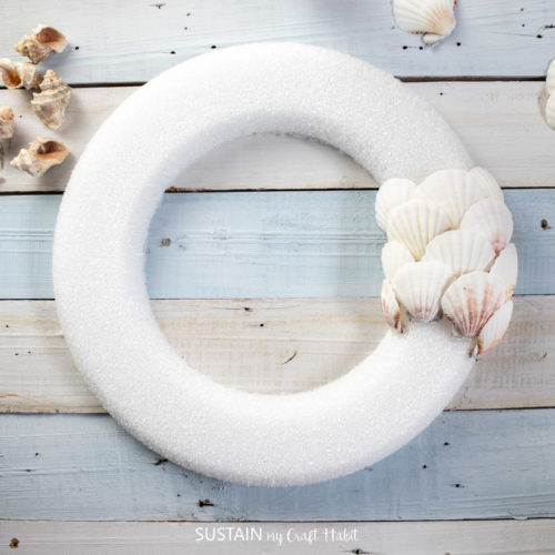 Beautiful DIY Seashell Wreath – Sustain My Craft Habit