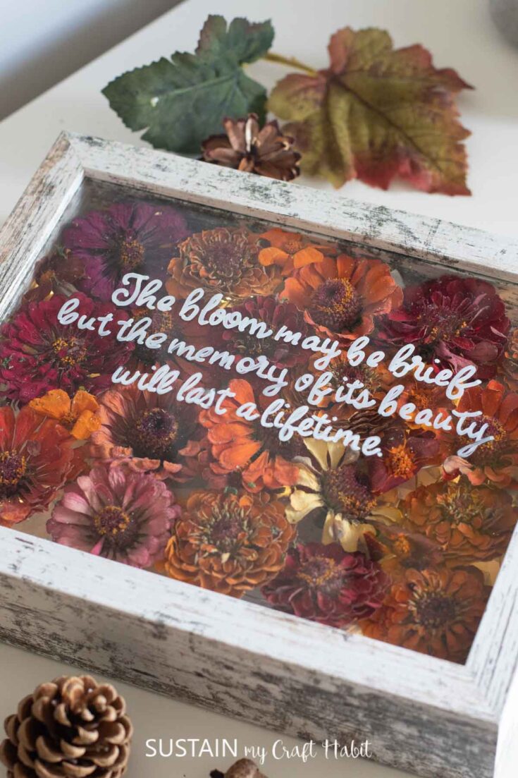 Dried Flower Shadow Box Art – Sustain My Craft Habit