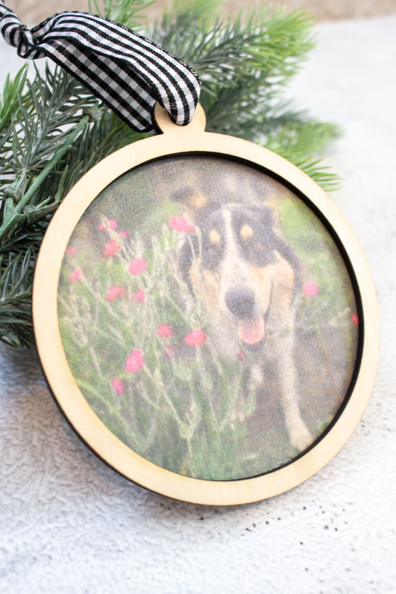 How to Print Photos on Wood with xTool M1 Ultra – Sustain My Craft Habit